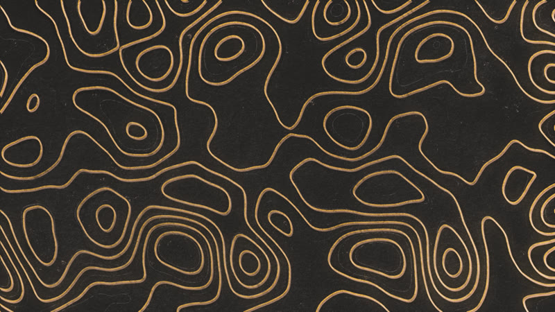 Topo Forms | Visual Revival