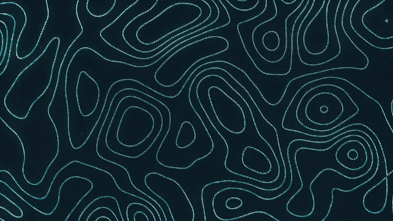 Topo Forms | Visual Revival