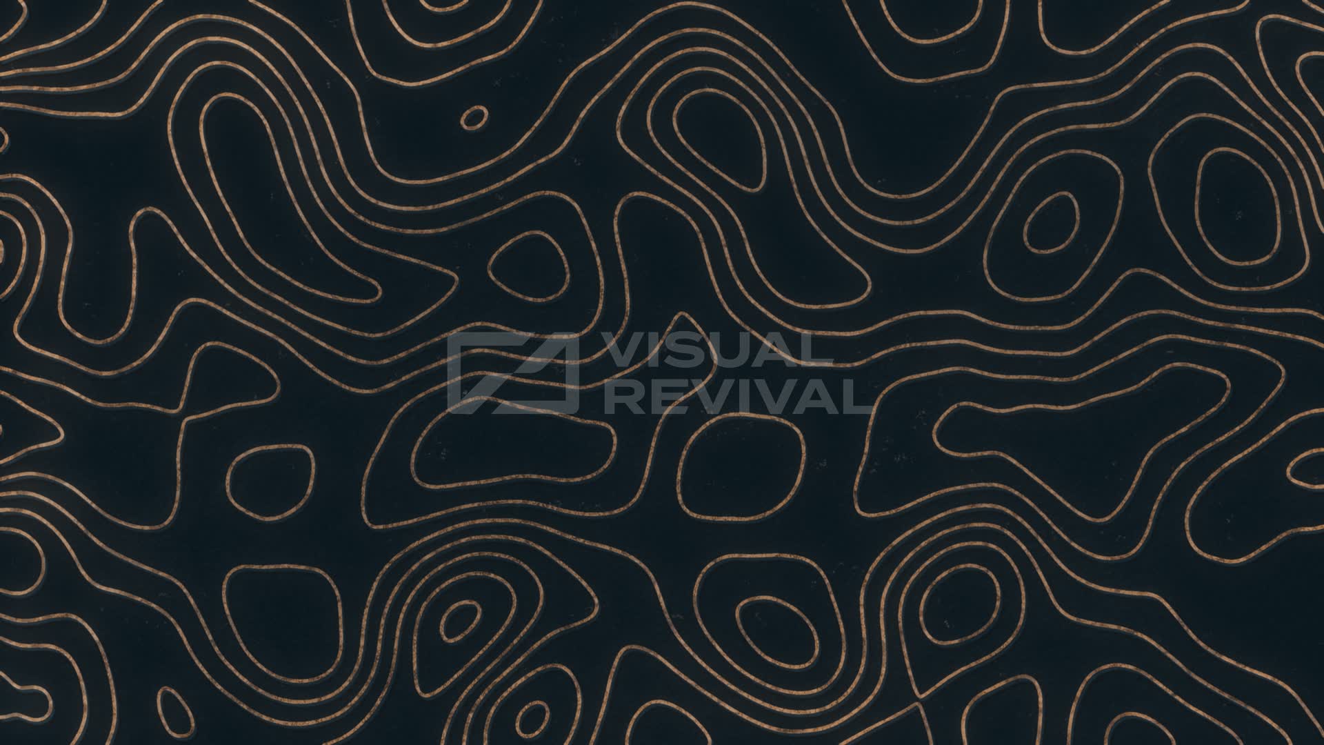 Topo Forms Still - Topo Drawing 4 | Visual Revival