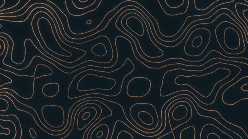 Topo Forms | Visual Revival