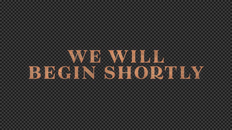 Nativity Brush | Visual Revival