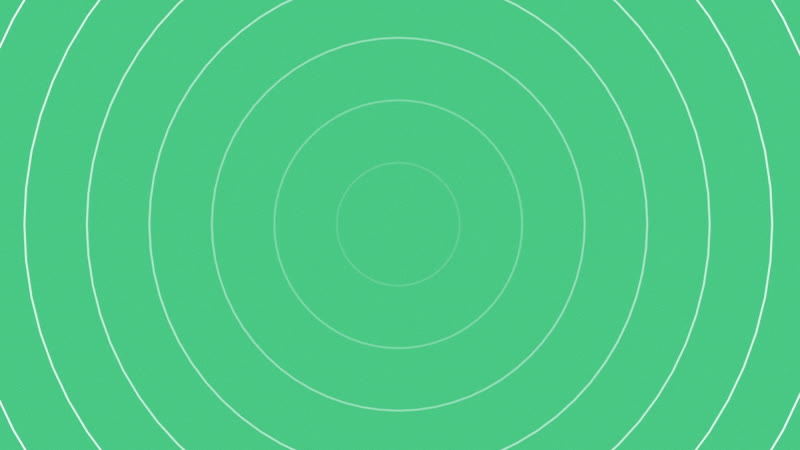 Echo | Visual Revival