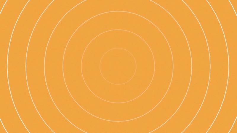 Echo | Visual Revival