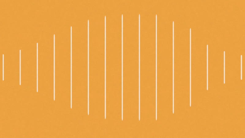 Echo | Visual Revival