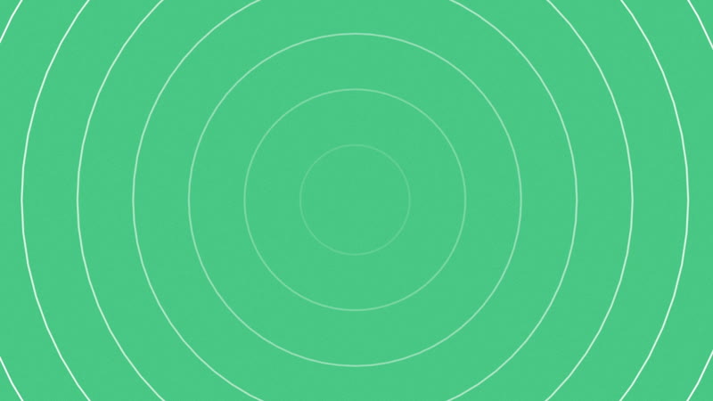 Echo | Visual Revival