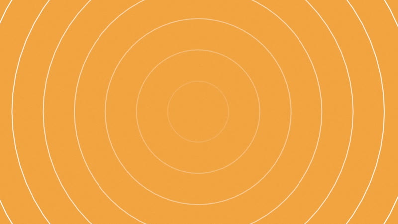 Stills | Visual Revival