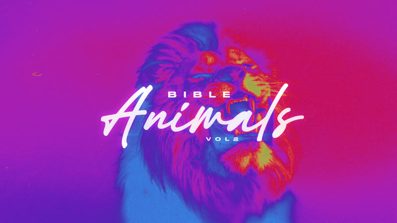 Bible Animals Vol 2 | Visual Revival