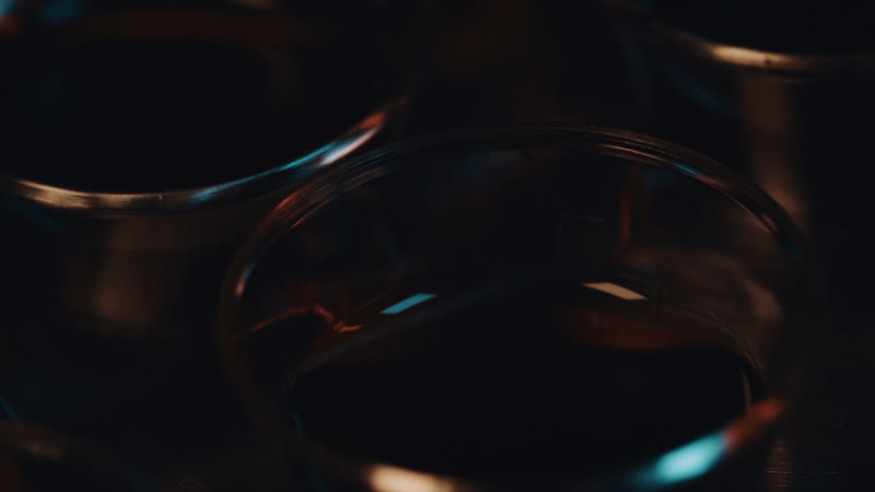 Communion | Visual Revival