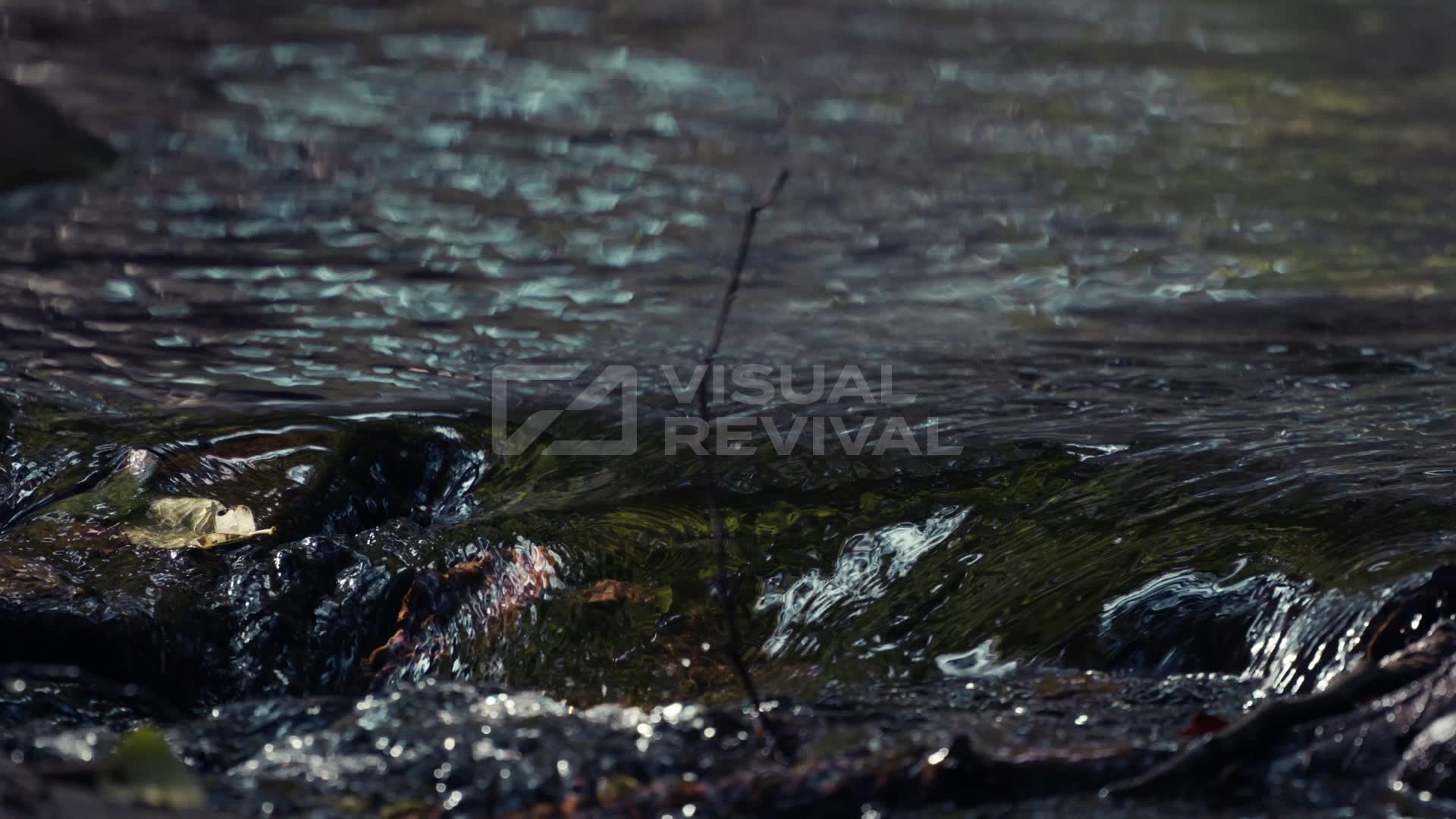 Deep River Still 01 | Visual Revival