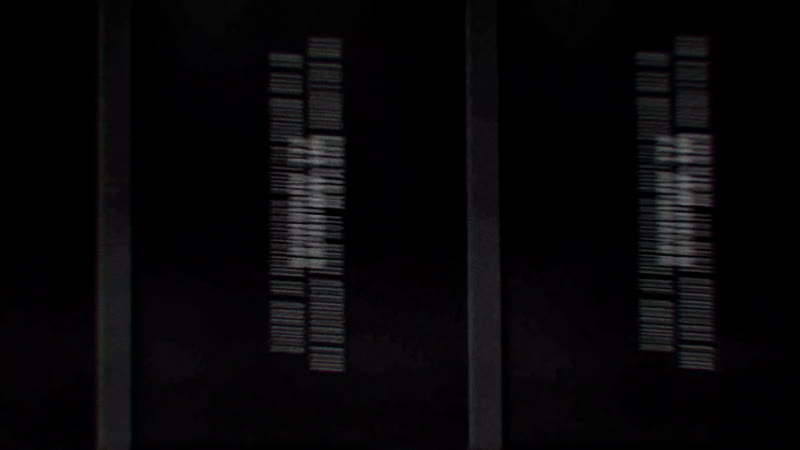 Film Leaders | Visual Revival