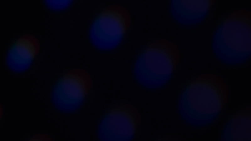 LED Screen | Visual Revival