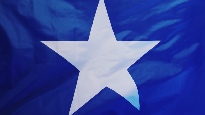 4th Of July | Visual Revival