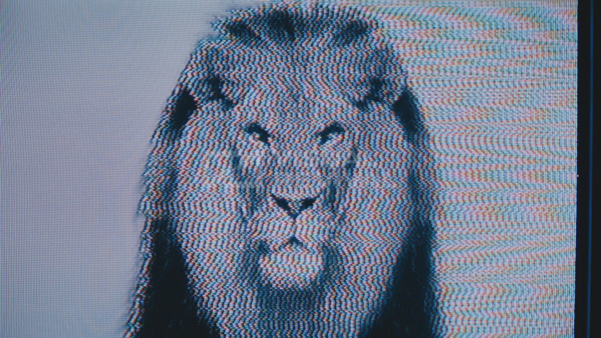 CRT Lion Still 05 | Visual Revival