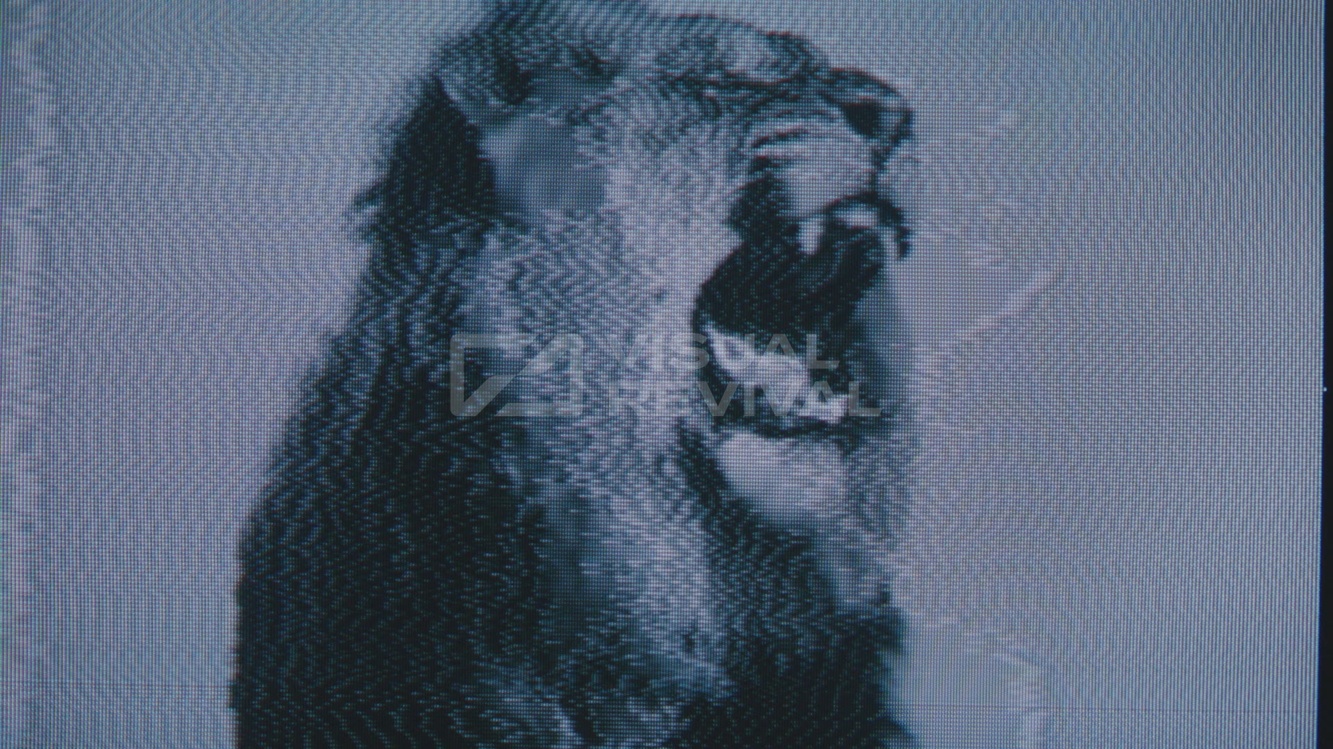 CRT Lion Still 11 | Visual Revival
