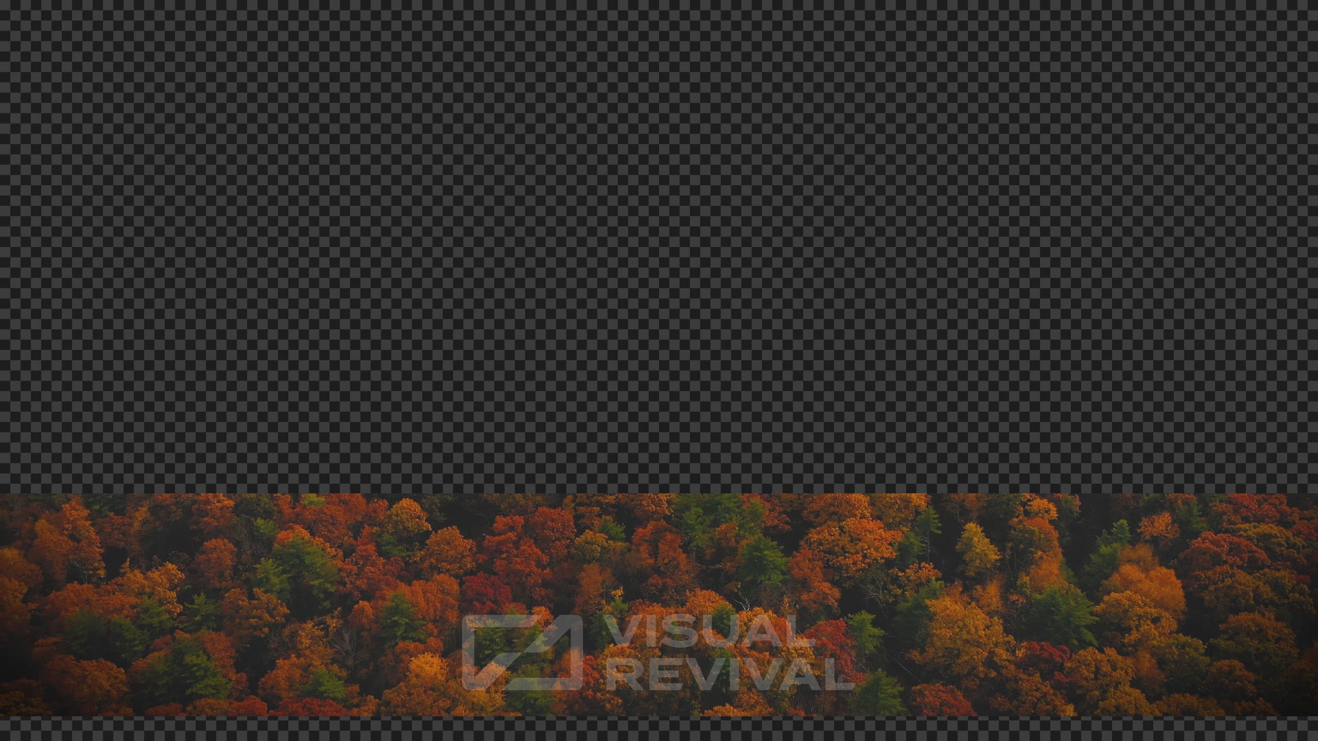 Autumn Colors Lower Third 02 | Visual Revival
