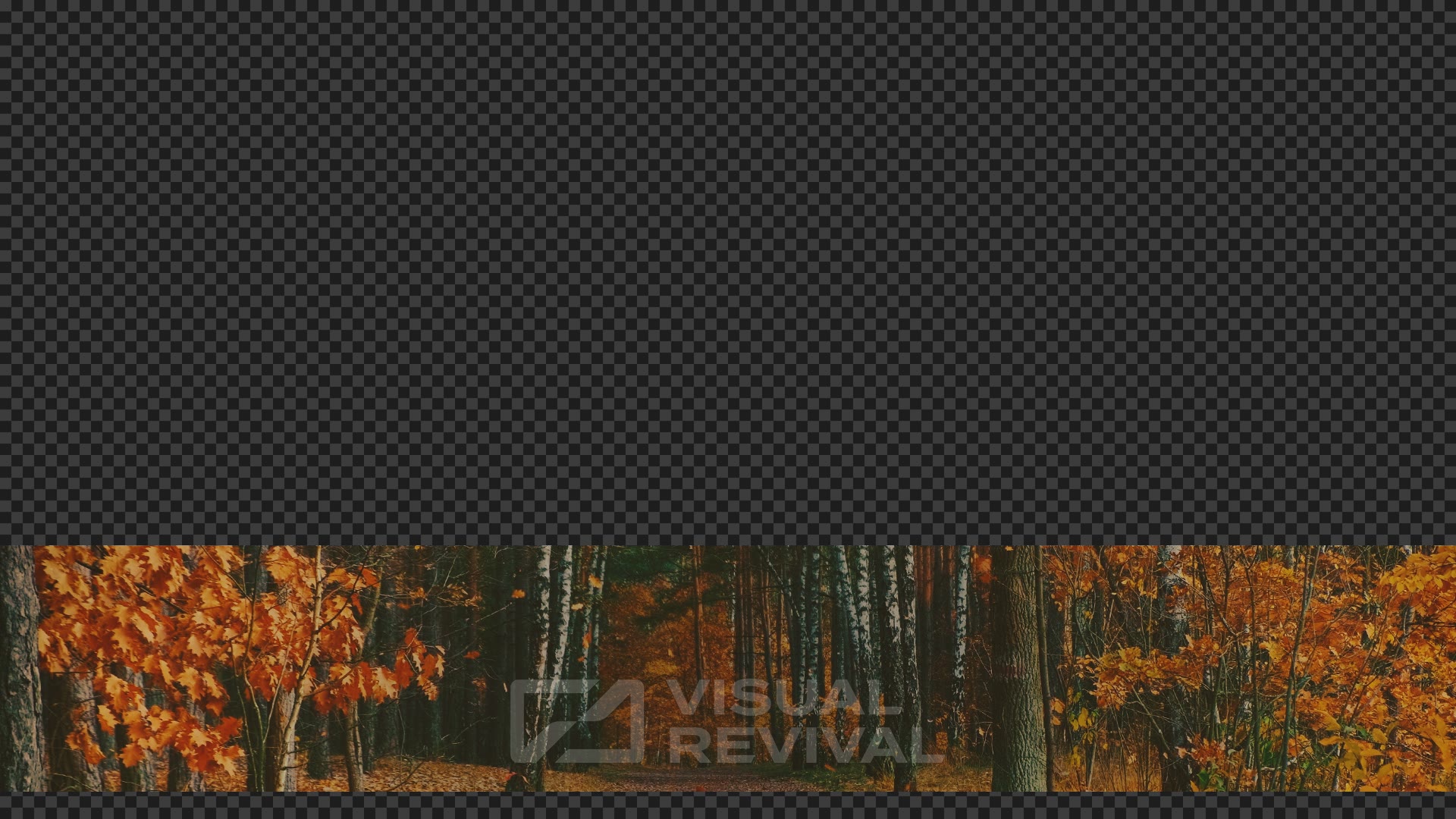 Autumn Colors Lower Third 03 | Visual Revival
