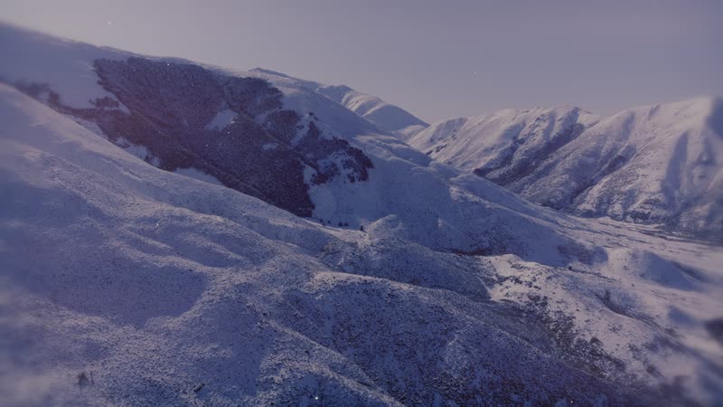 Deep Winter | Visual Revival