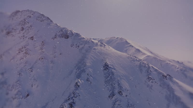 Deep Winter | Visual Revival