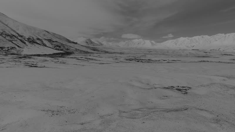 Winter Expanse | Visual Revival