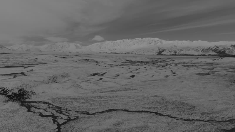 Winter Expanse | Visual Revival