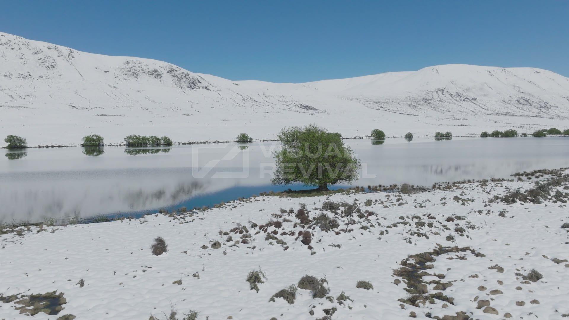 Winter Expanse Still 04 | Visual Revival