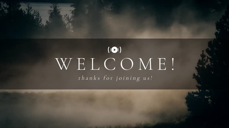 Titles | Visual Revival