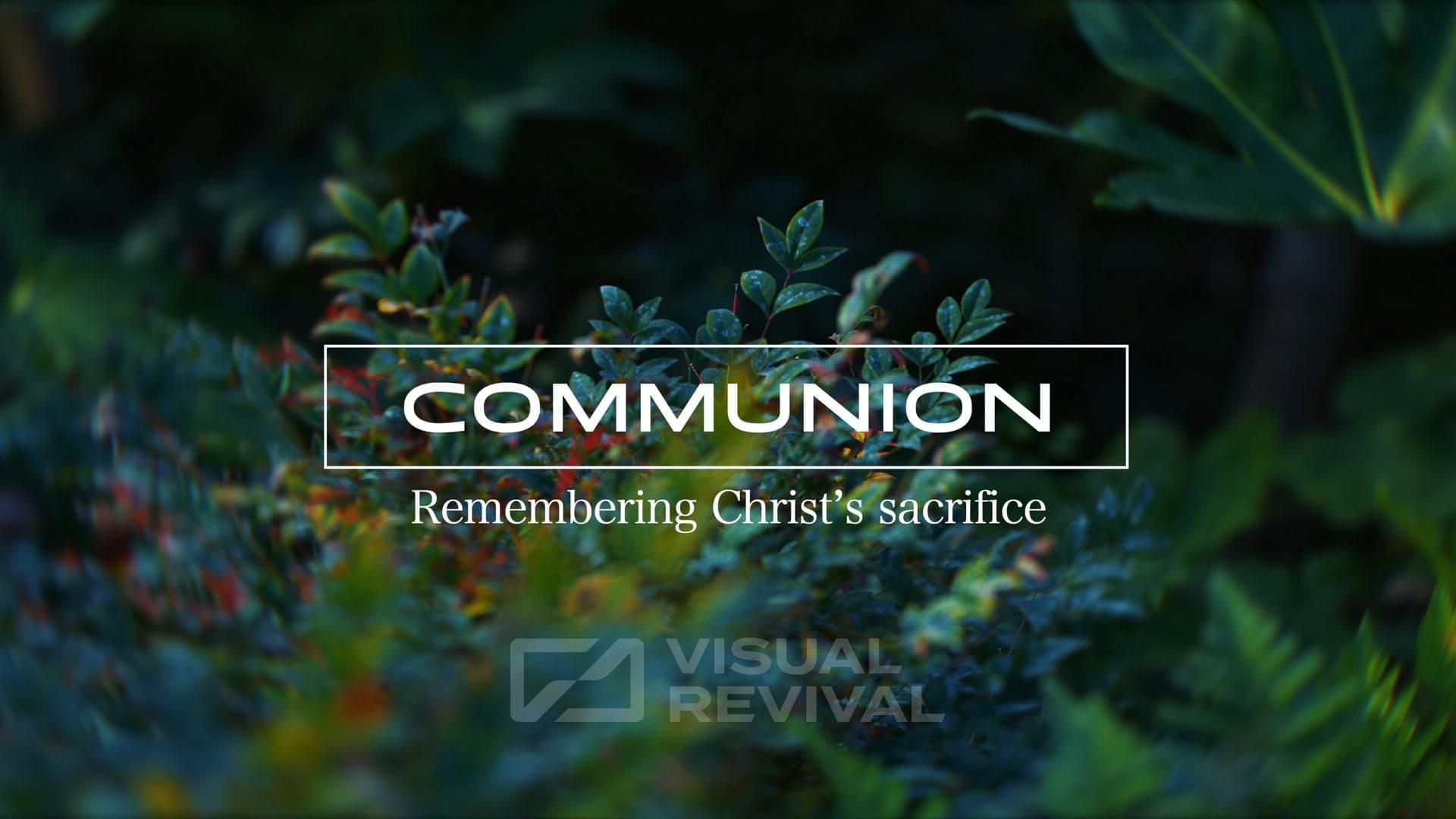 Spring's Embrace Title Slide - Communion | Visual Revival