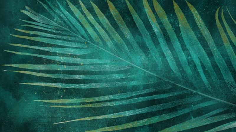 Radiant Paint | Visual Revival