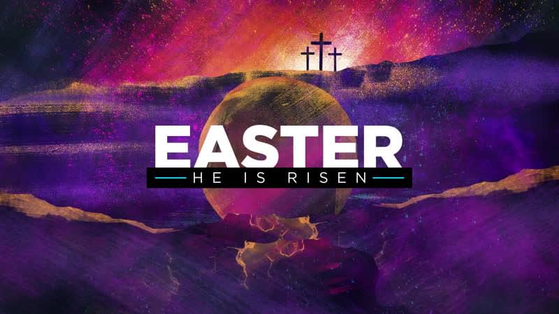 Titles | Visual Revival