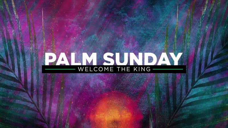 Radiant Paint | Visual Revival