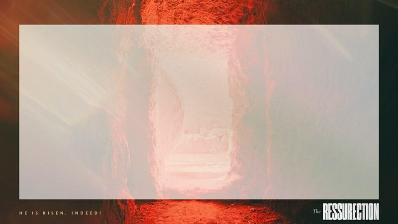 The Resurrection | Visual Revival