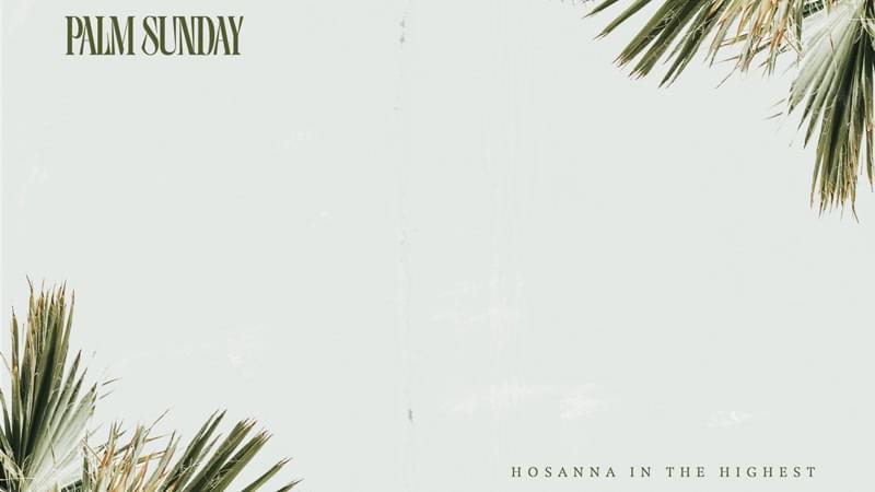 Palm Sunday | Visual Revival