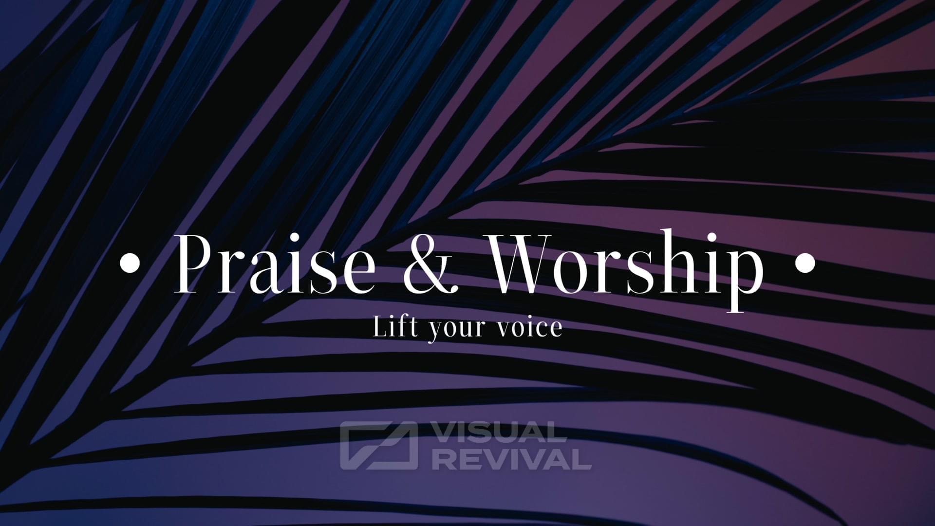 Cinematic Palms Title Slide - Praise And Worship | Visual Revival