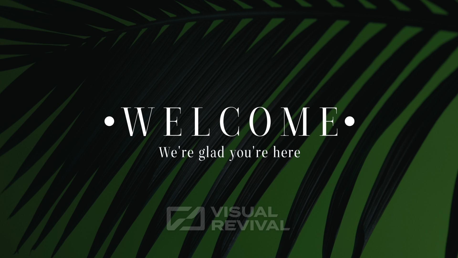 Cinematic Palms Title Slide - Welcome | Visual Revival