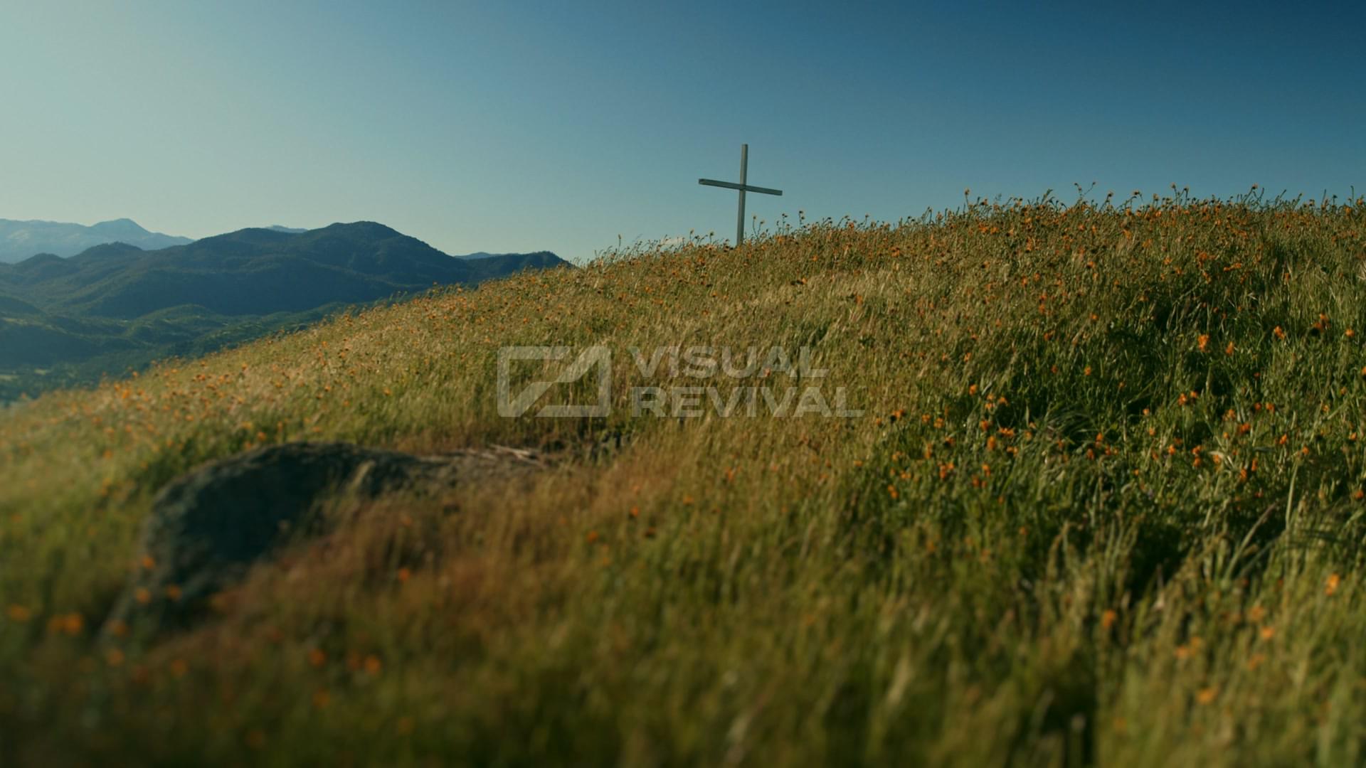 Spring Awakening Still 07 | Visual Revival