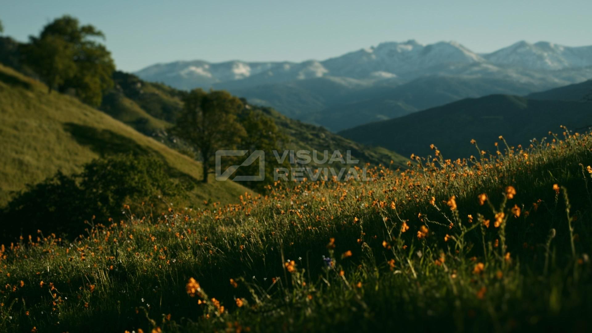 Spring Awakening Still 10 | Visual Revival