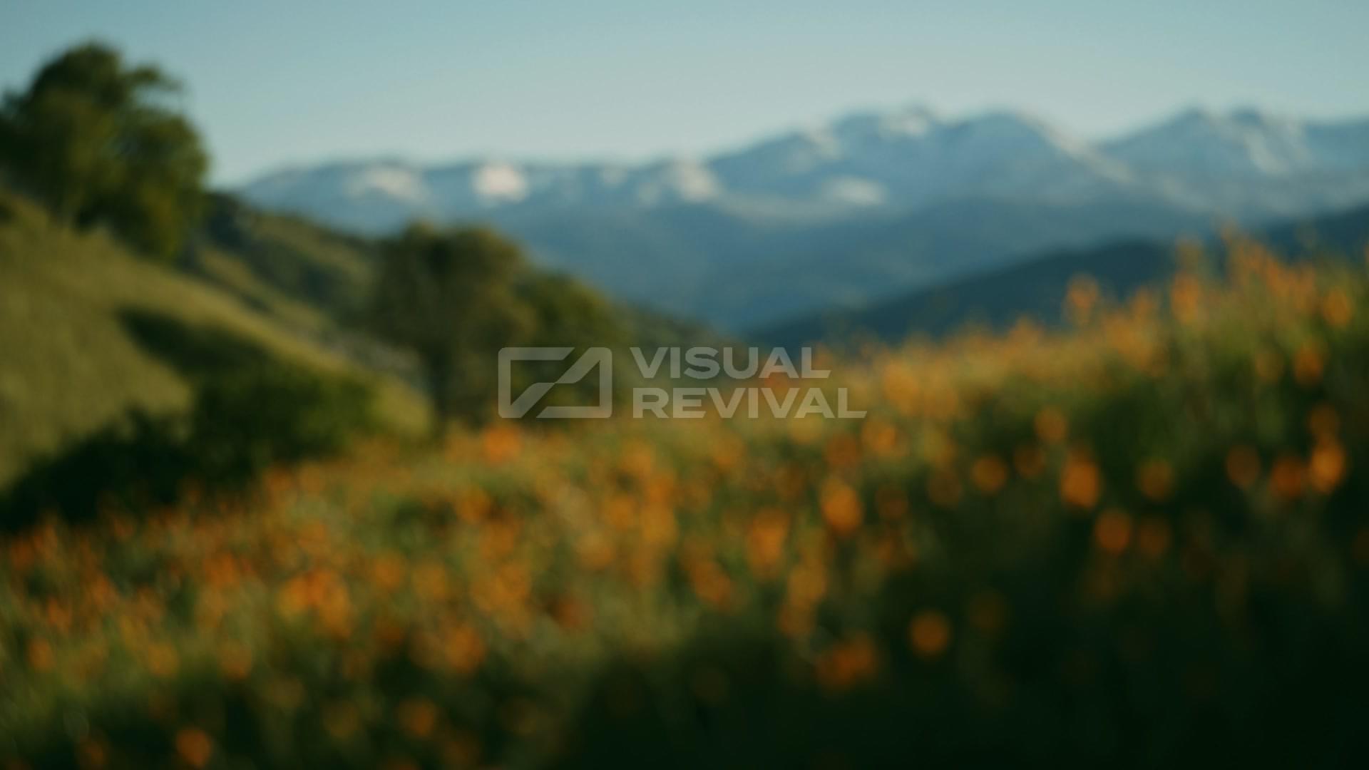 Spring Awakening Still 14 | Visual Revival