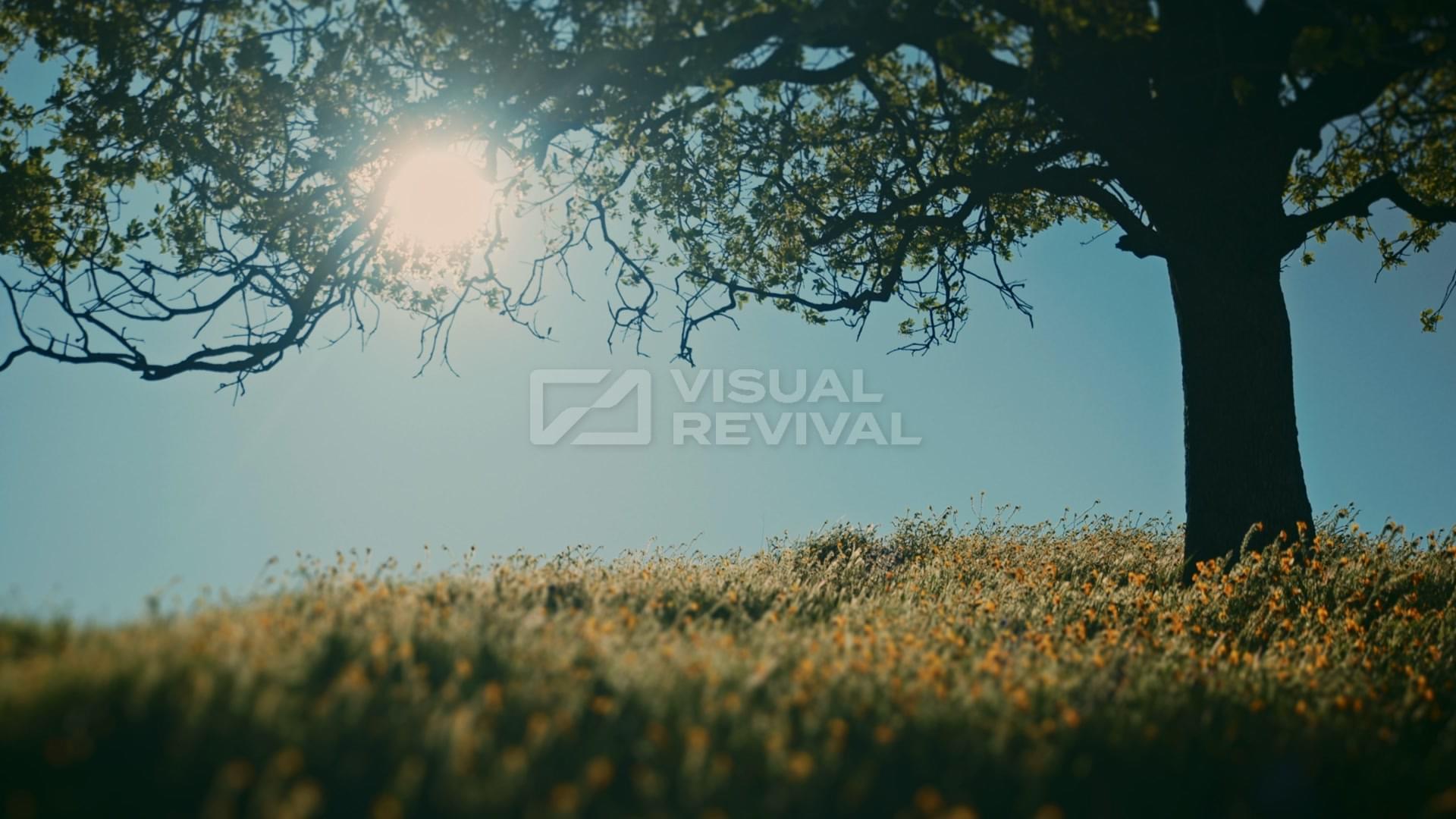 Spring Awakening Still 18 | Visual Revival