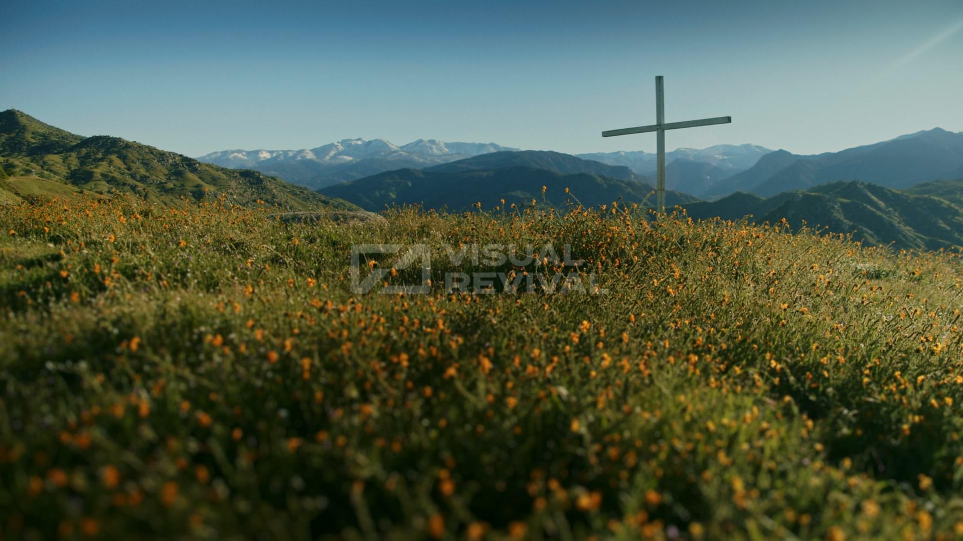 Spring Awakening Still 21 | Visual Revival