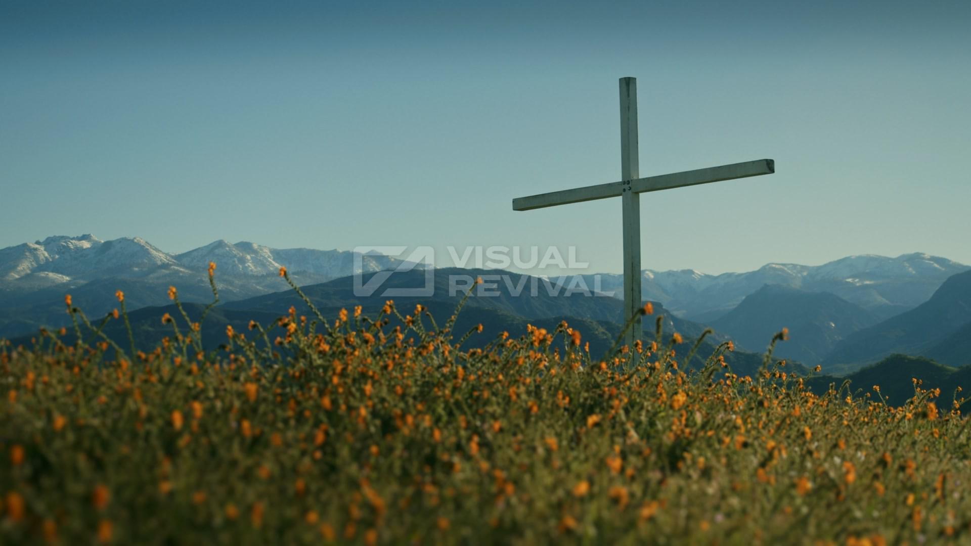 Spring Awakening Still 22 | Visual Revival