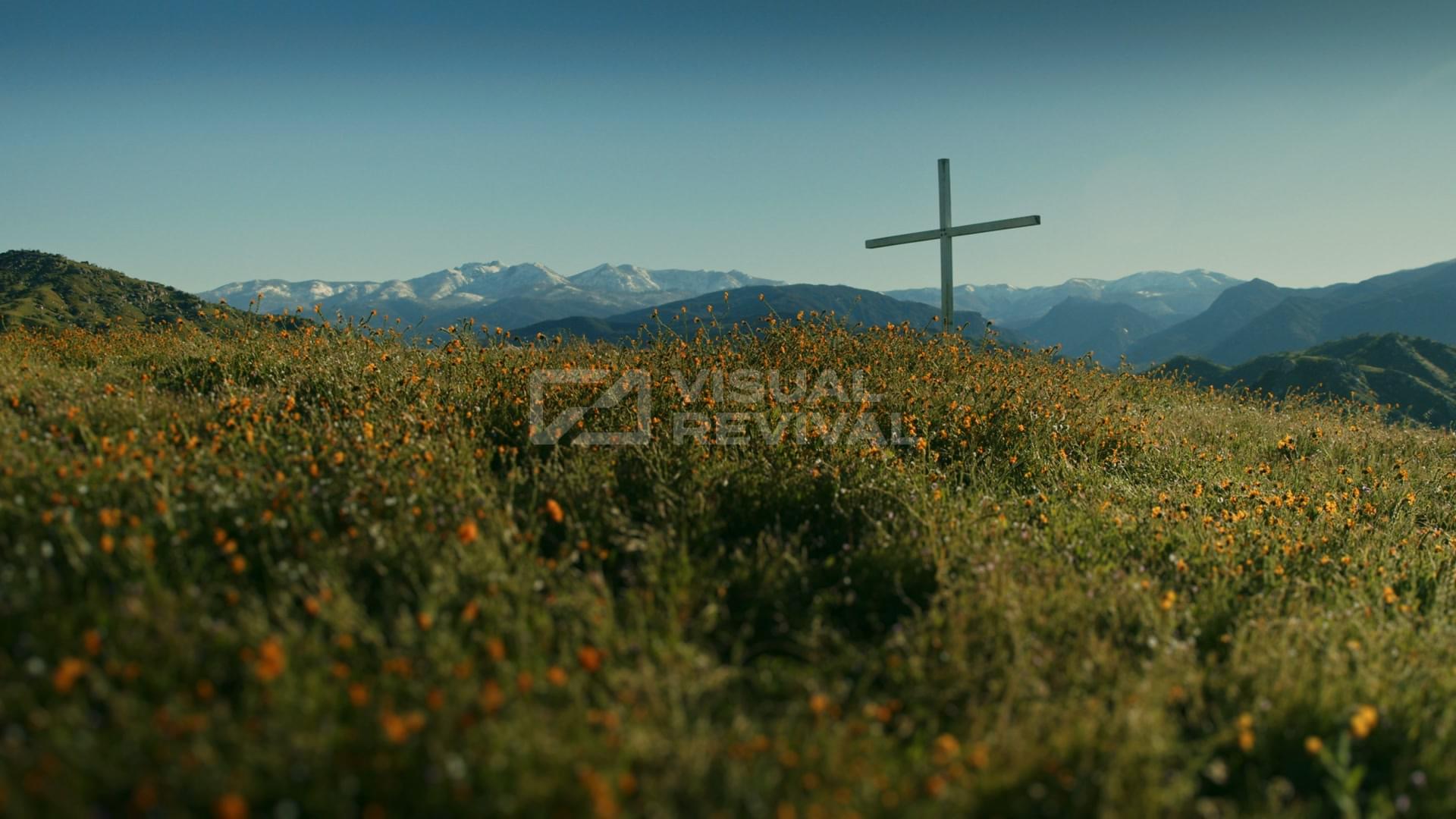 Spring Awakening Still 23 | Visual Revival