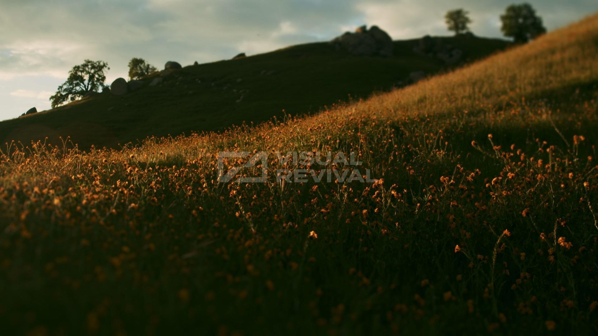Redemption Hills Still 01 | Visual Revival