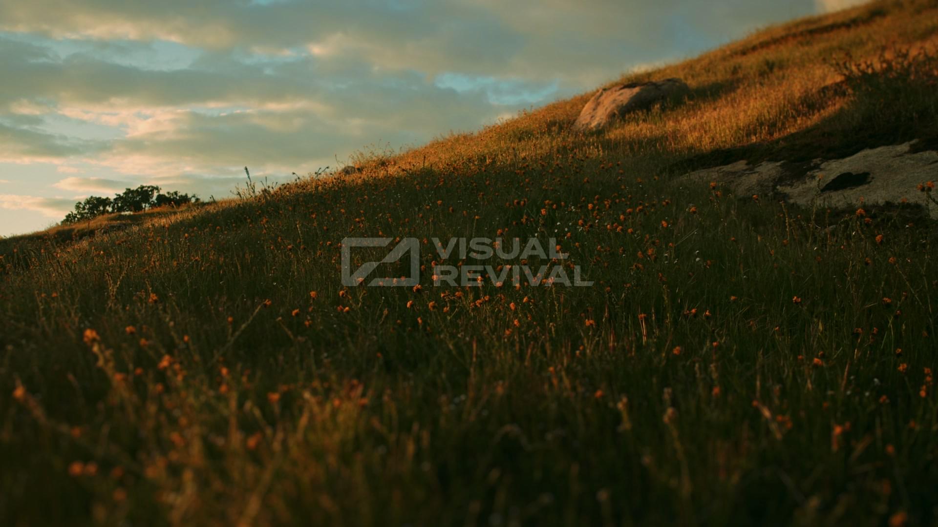 Redemption Hills Still 02 | Visual Revival