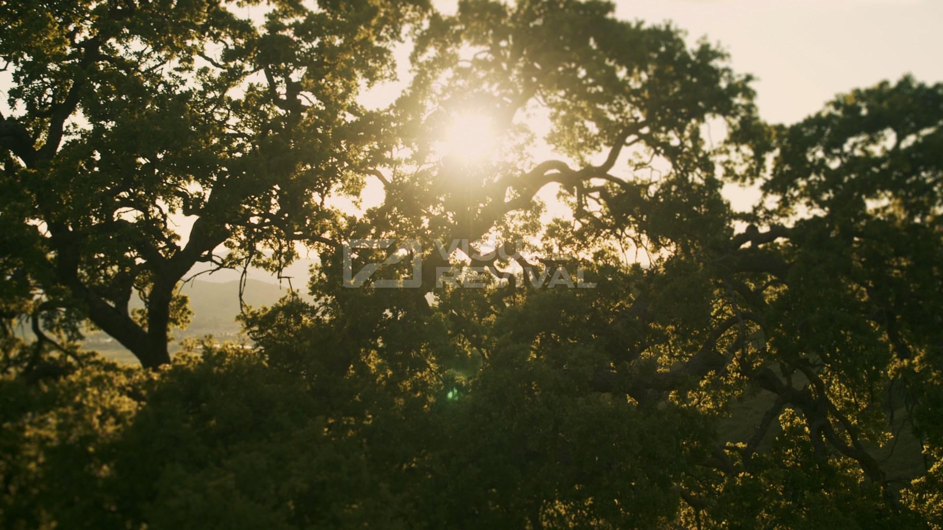 Redemption Hills Still 03 | Visual Revival