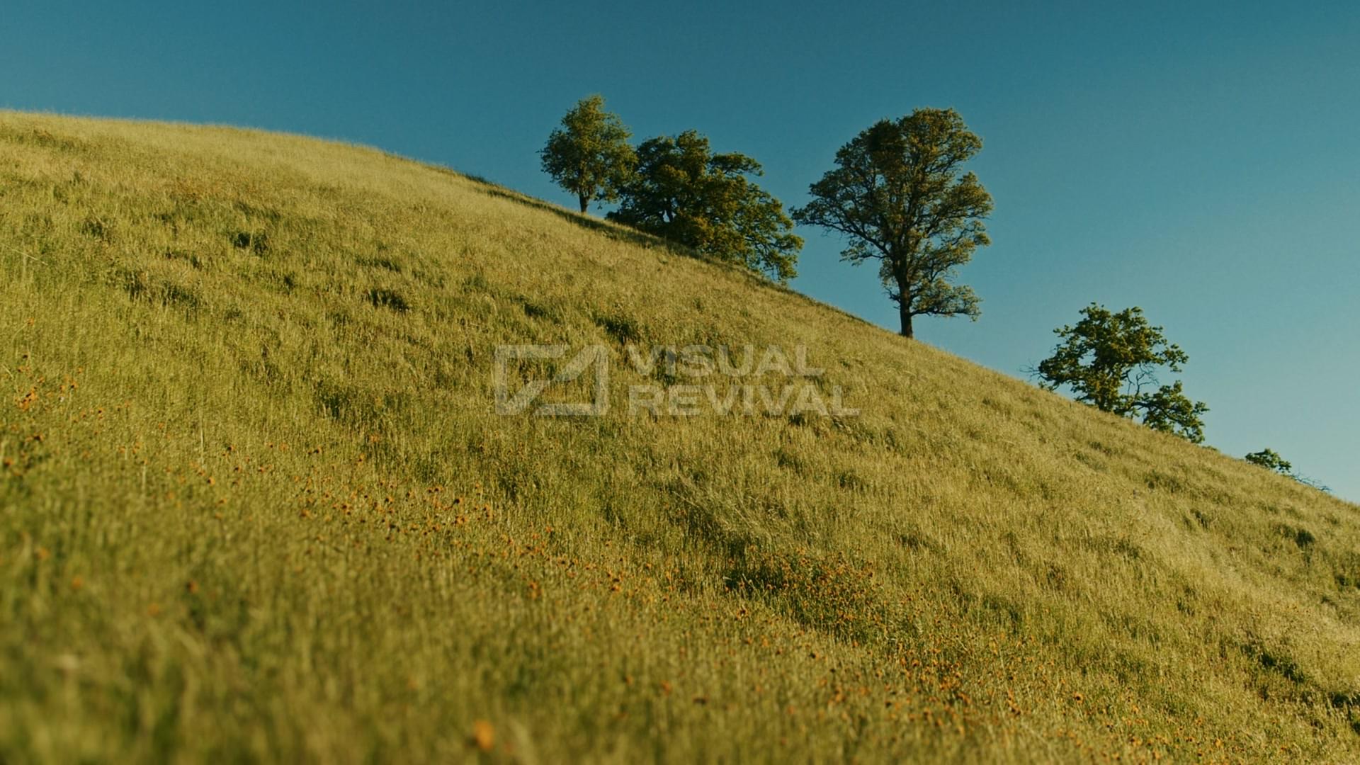 Redemption Hills Still 05 | Visual Revival