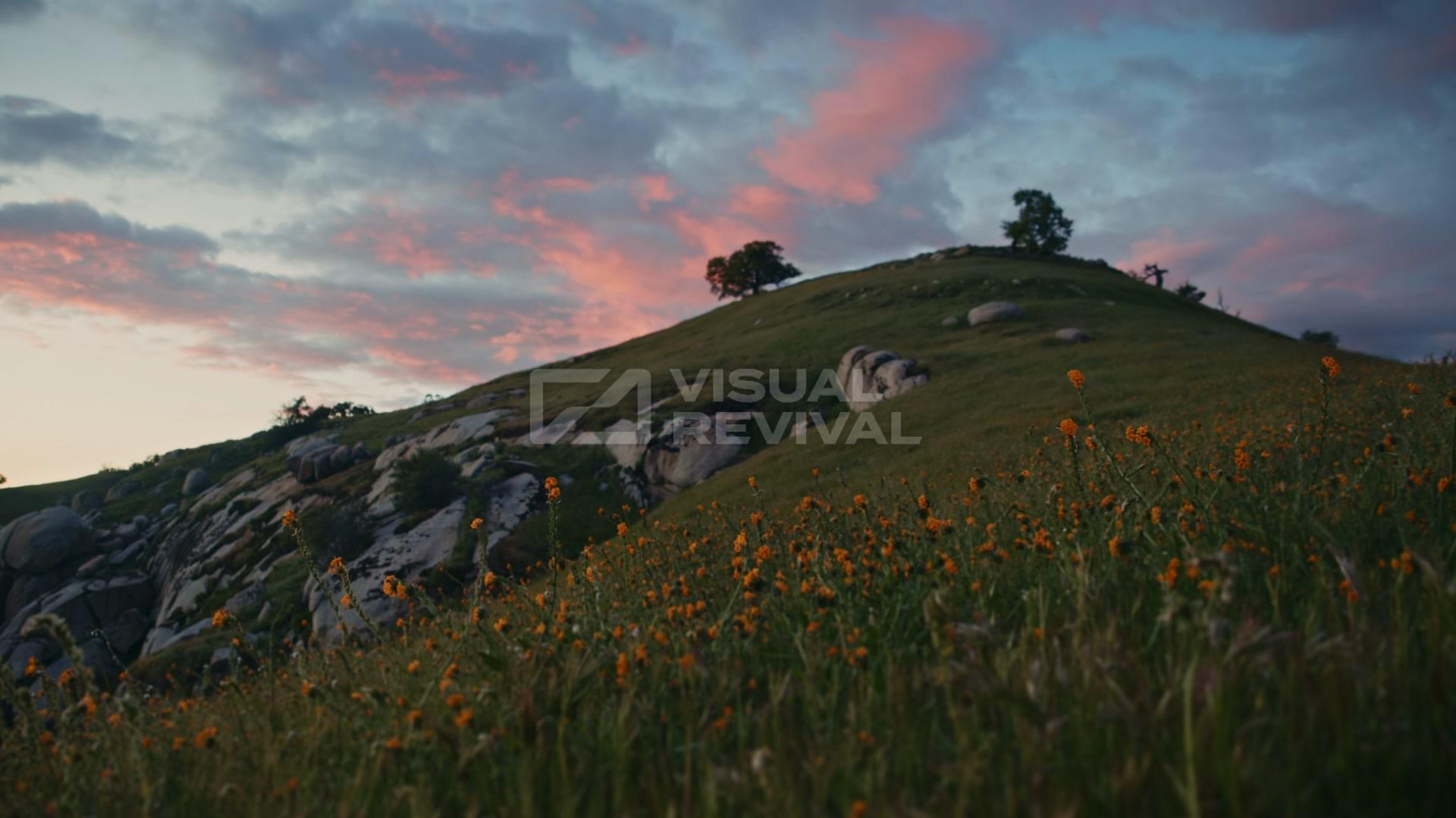 Redemption Hills Still 07 | Visual Revival