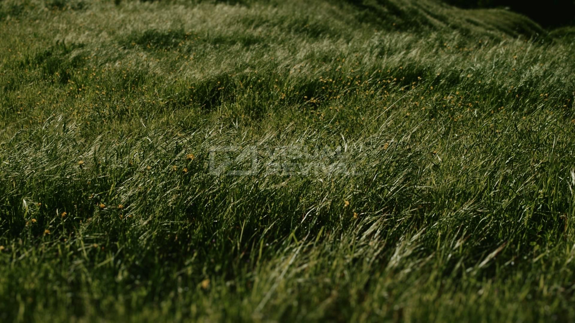 Redemption Hills Still 10 | Visual Revival