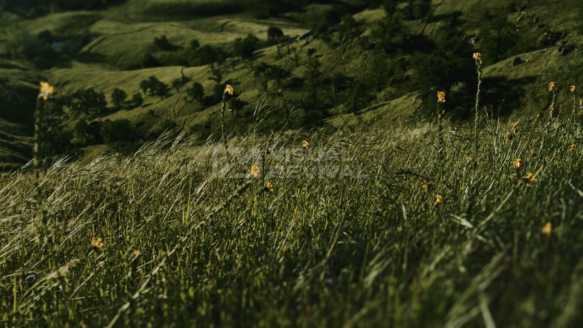 Redemption Hills Still 11 | Visual Revival