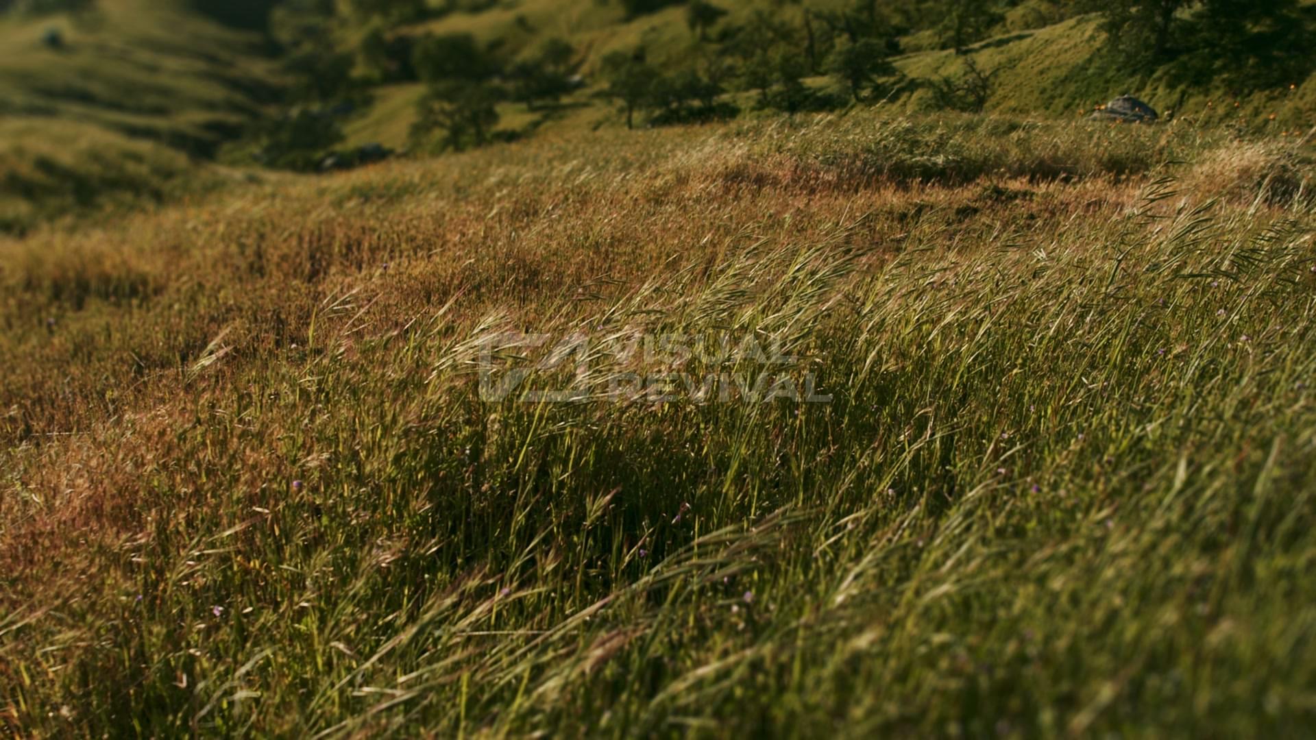 Redemption Hills Still 12 | Visual Revival