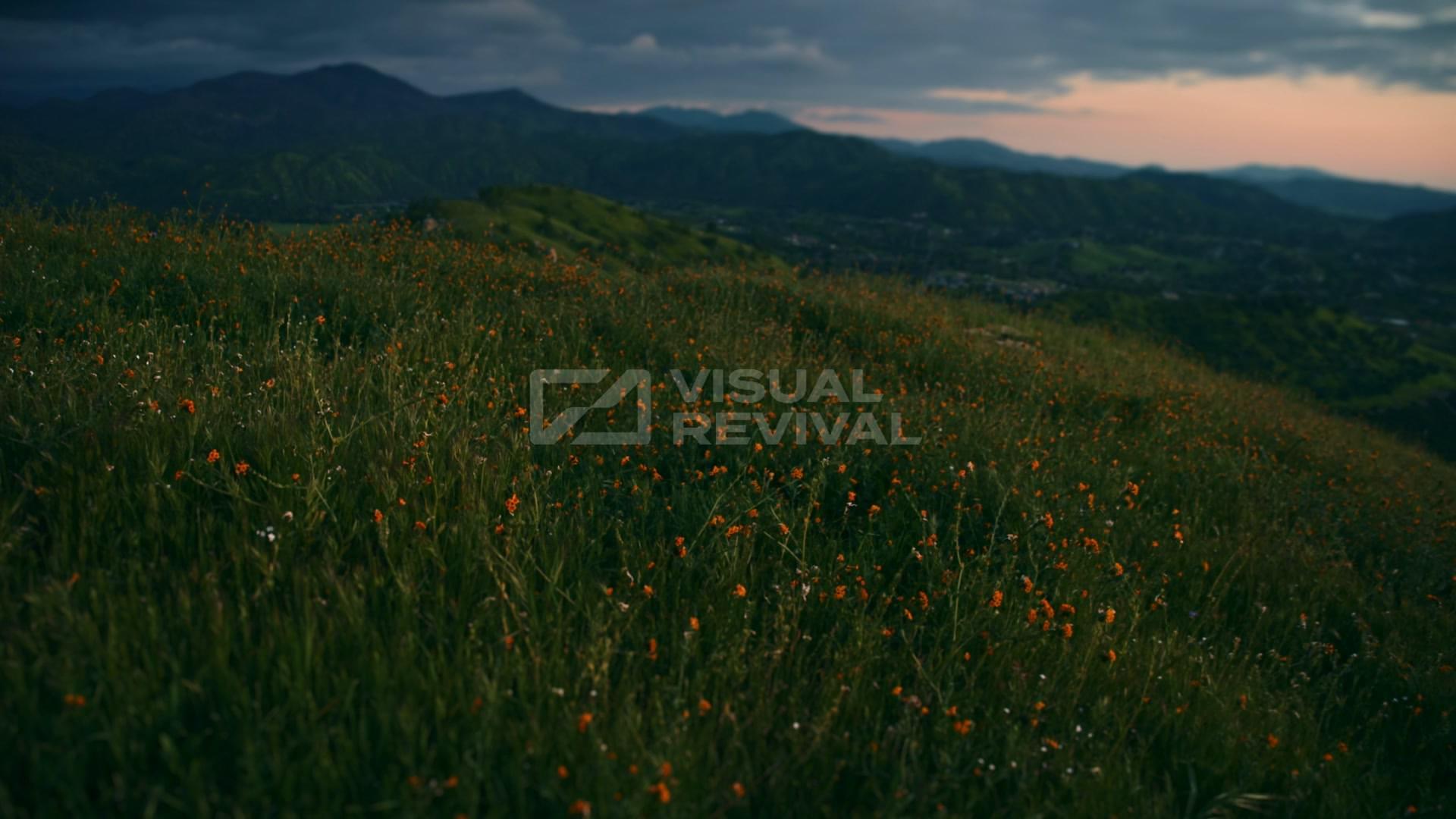 Redemption Hills Still 16 | Visual Revival